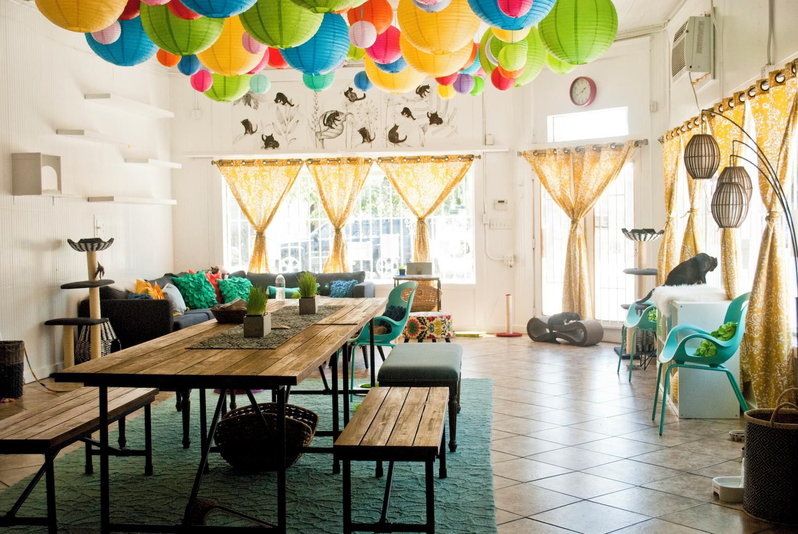 Rent The Dancing Cat Meeting Space San Jose | Spacebase